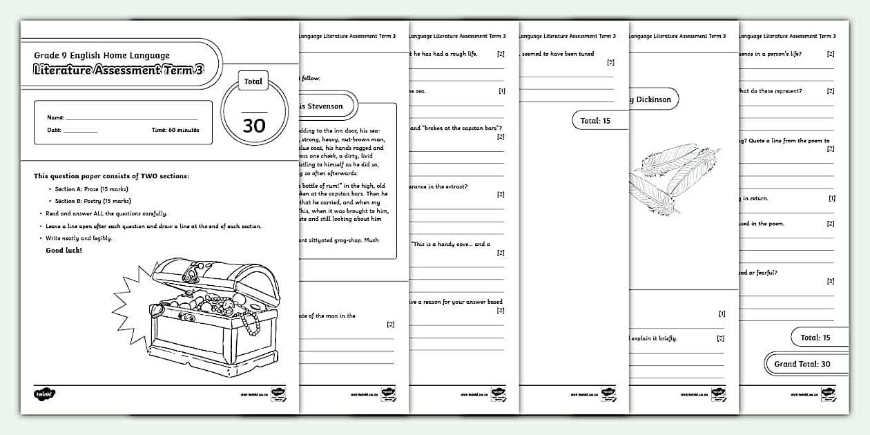 Grade 9 English Home Language Literature Assessment Term 3