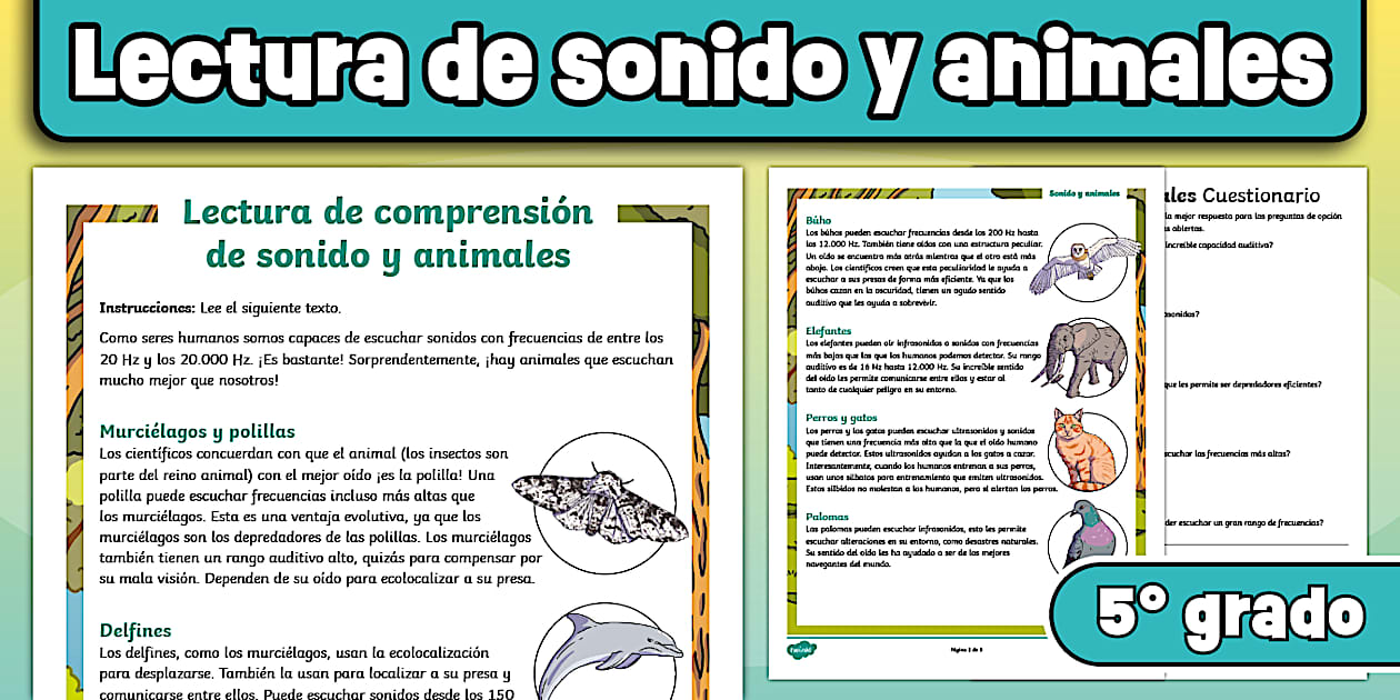 Comprensión lectora para quinto grado: Sonido y animales