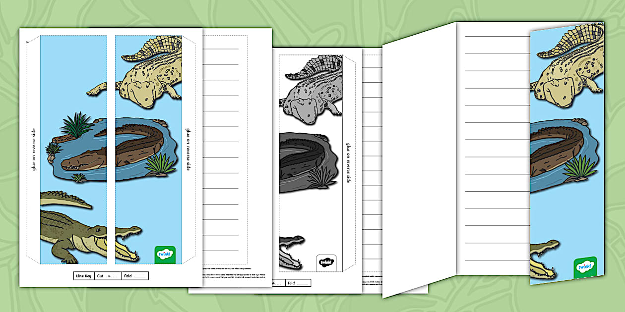 Crocodile Folding Writing Template (teacher made) - Twinkl