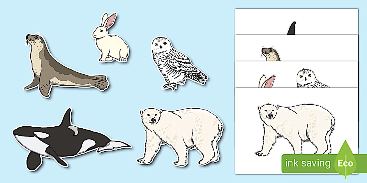 Arctic Animal Cut-Outs (teacher made) - Twinkl