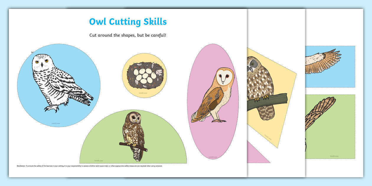 Owl Cutting Skills Activity (teacher made) - Twinkl