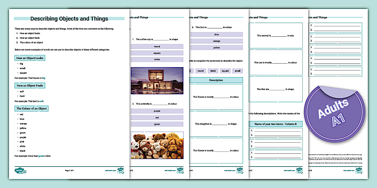 Describing Objects and Things Activity sheet [Adults, A1]