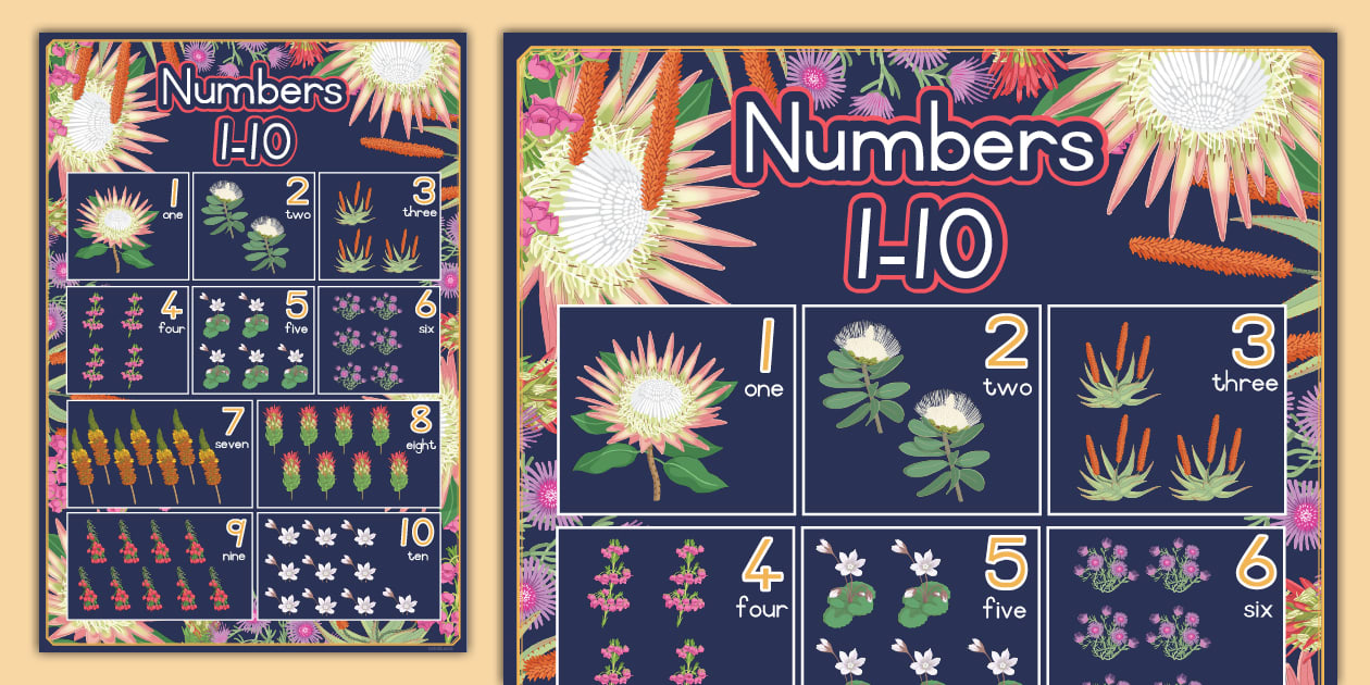Fynbos-Themed Numbers 1-10 Display Poster (Teacher-Made)
