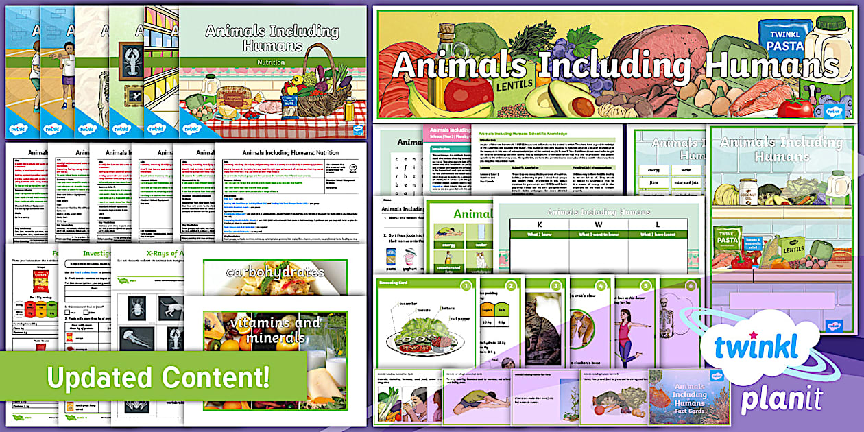 Science | Animals Including Humans Year 3 Unit Pack | Twinkl