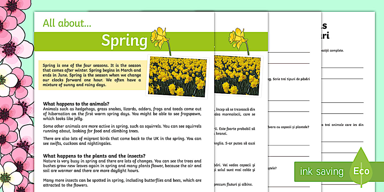 Spring Reading Differentiated Comprehension Worksheet / Worksheet Pack
