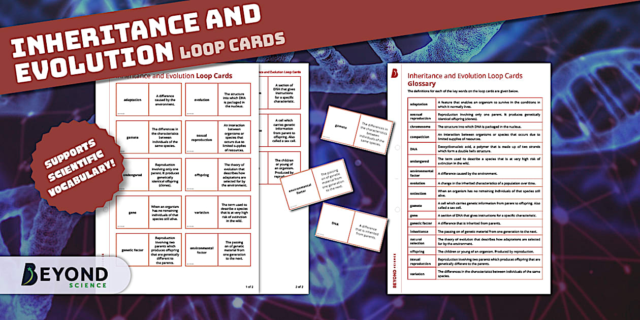 Inheritance and Evolution Loop Cards | Science | Beyond