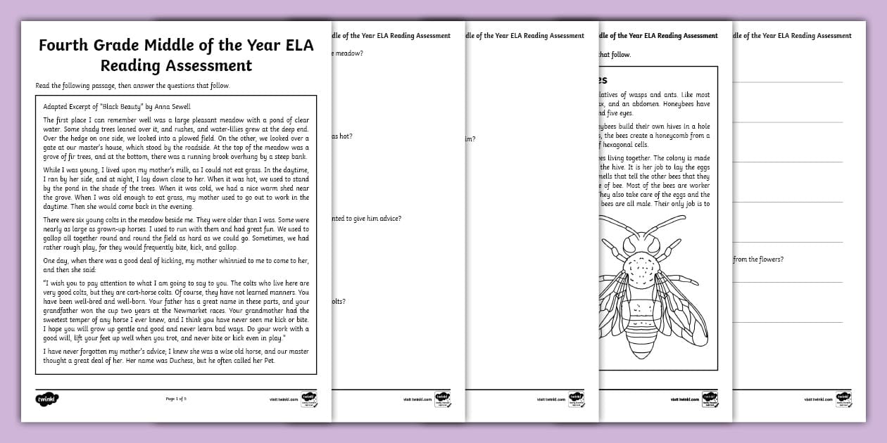 Fourth Grade Middle of the Year ELA Reading Assessment