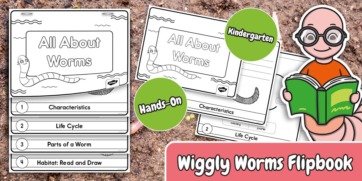 Kindergarten All About Worms Flipbook - Twinkl