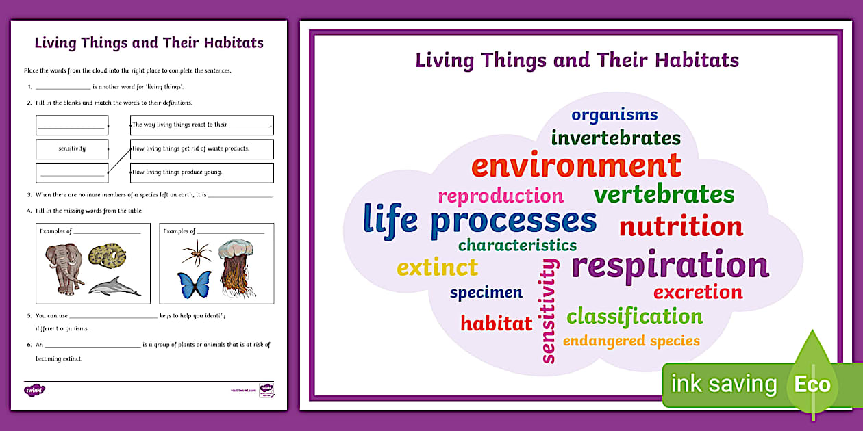 Y4 Living Things and Habitats Vocab Clouds and Questions