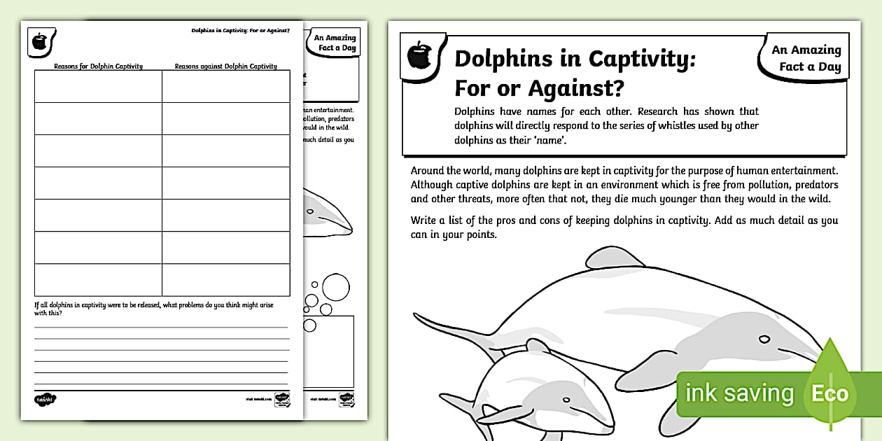 KS2 Dolphins in Captivity: For or Against? Worksheet