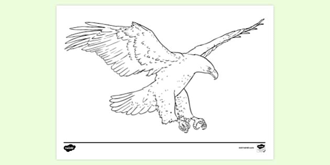 Eagle Colouring Page | Colouring Sheets