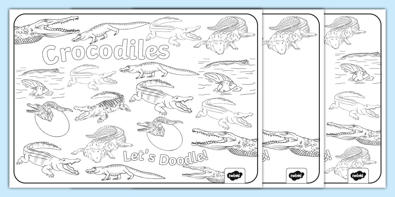 Crocodile Doodle Colouring PageS