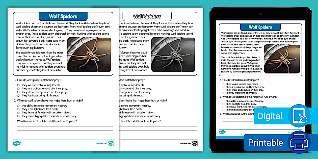 Wolf Spiders Reading Passage Comprehension Worksheet