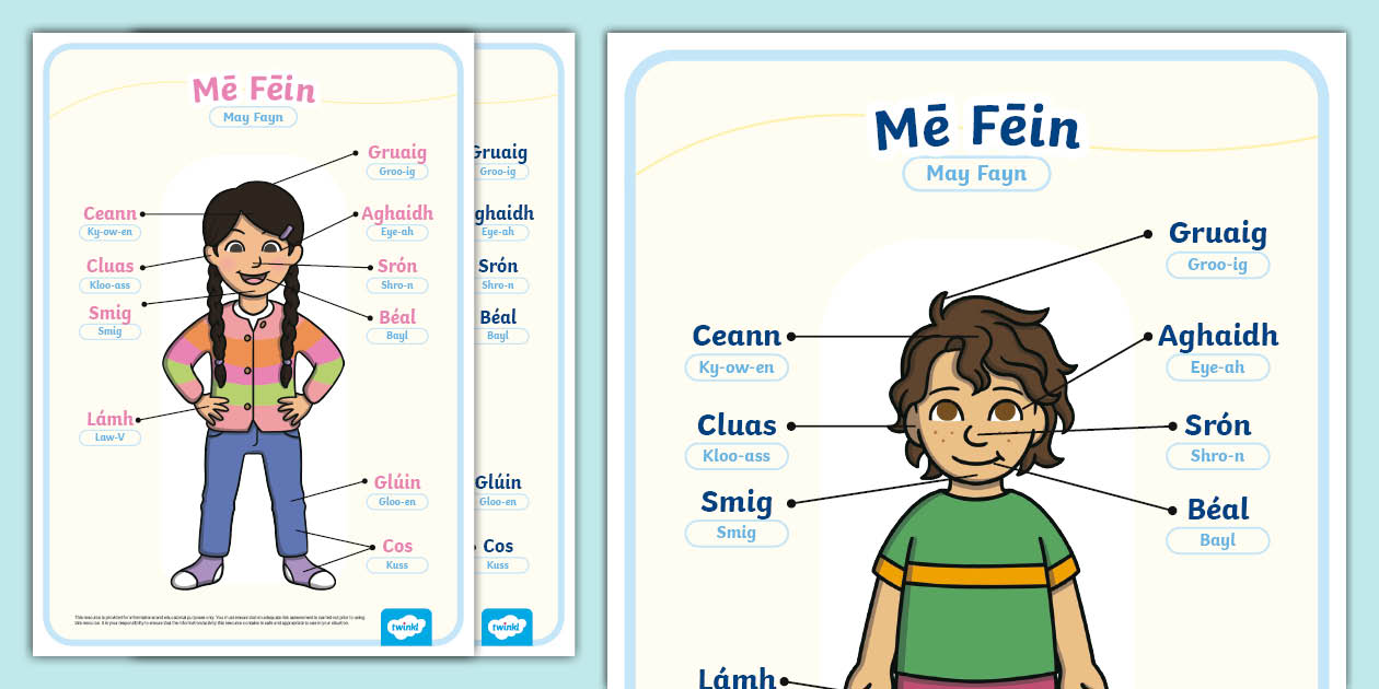 Mé Féin - Parts of the Body (teacher made) - Twinkl