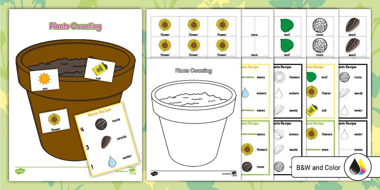 Plants Counting Recipe Activity Cards for PK-K - Twinkl