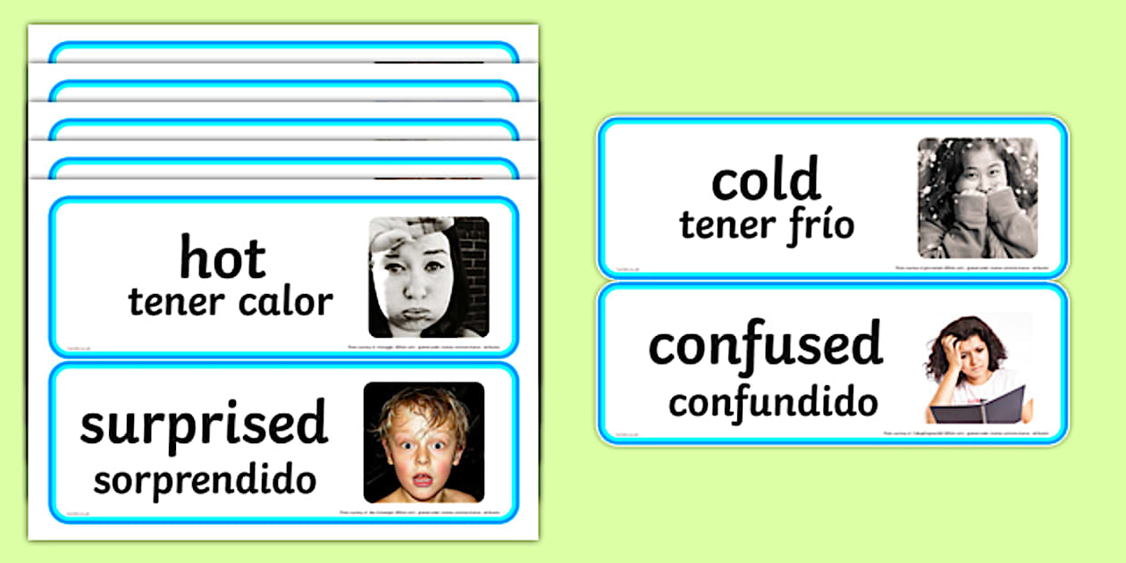 Large Detailed Emotions and Feelings Photo Word Cards English/Spanish