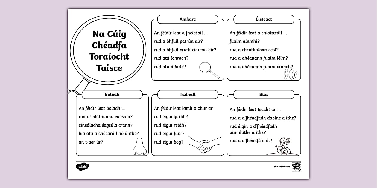 Na Cúig Chéadfa Toraíocht Taisce (teacher made) - Twinkl