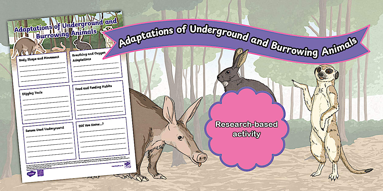 Intermediate Phase Natural Science - Adaptations of Underground and ...