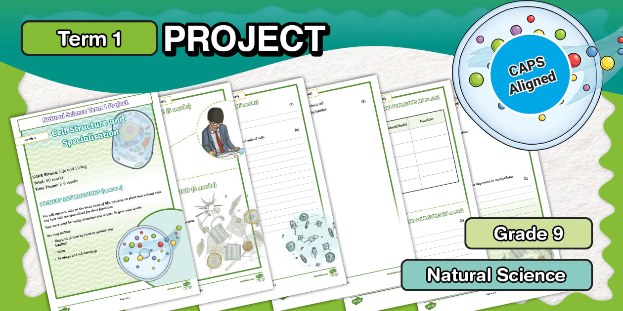 Grade 9 Natural Science Term 1 Project (CAPS Aligned)