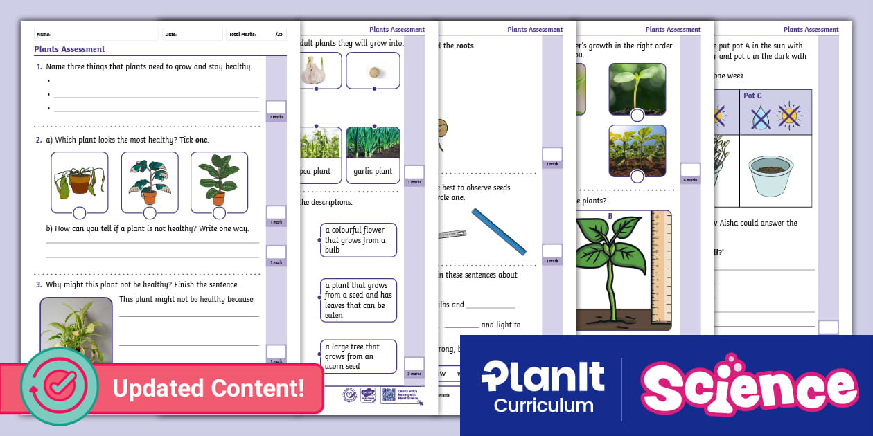 Science: Plants: Year 2 Assessment Test