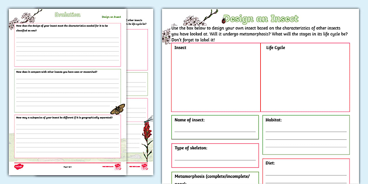 KS2 Design an Insect Worksheet - Twinkl Science - Twinkl