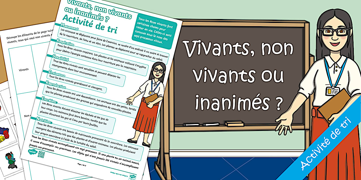 Activité de tri : Vivants, non vivants ou inanimés