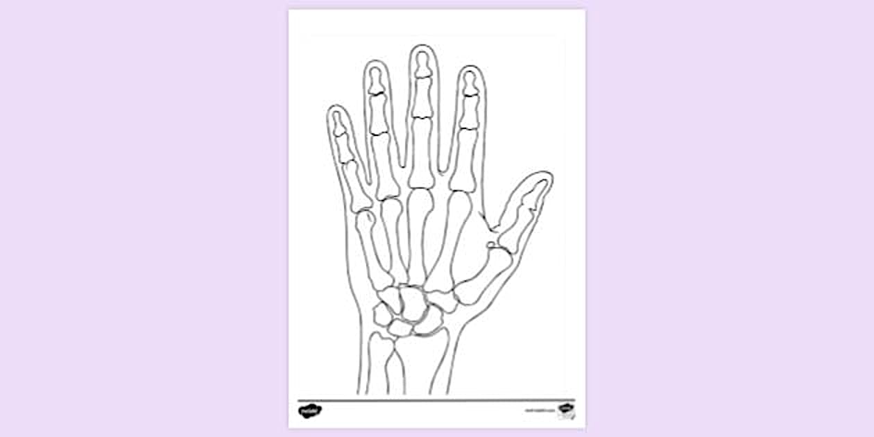 X Ray Of A Hand Colouring Sheet | Colouring Sheets - Twinkl