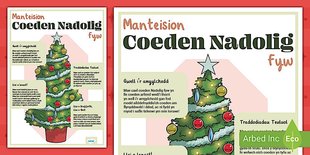 Manteision Coeden Nadolig Fyw (teacher made) - Twinkl