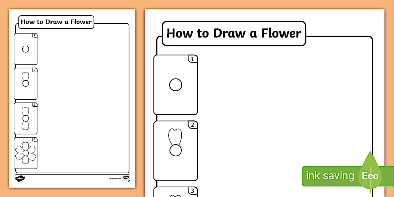How to Draw a Flower Activity | Twinkl Art Activity - Twinkl