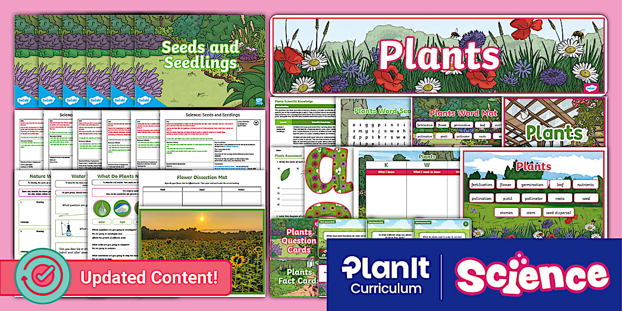 Y3 Plants Unit Pack (teacher made) - Twinkl