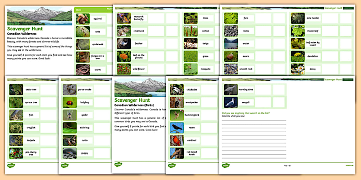 Scavenger Hunt Nature Walk Outdoor Activity (teacher made)