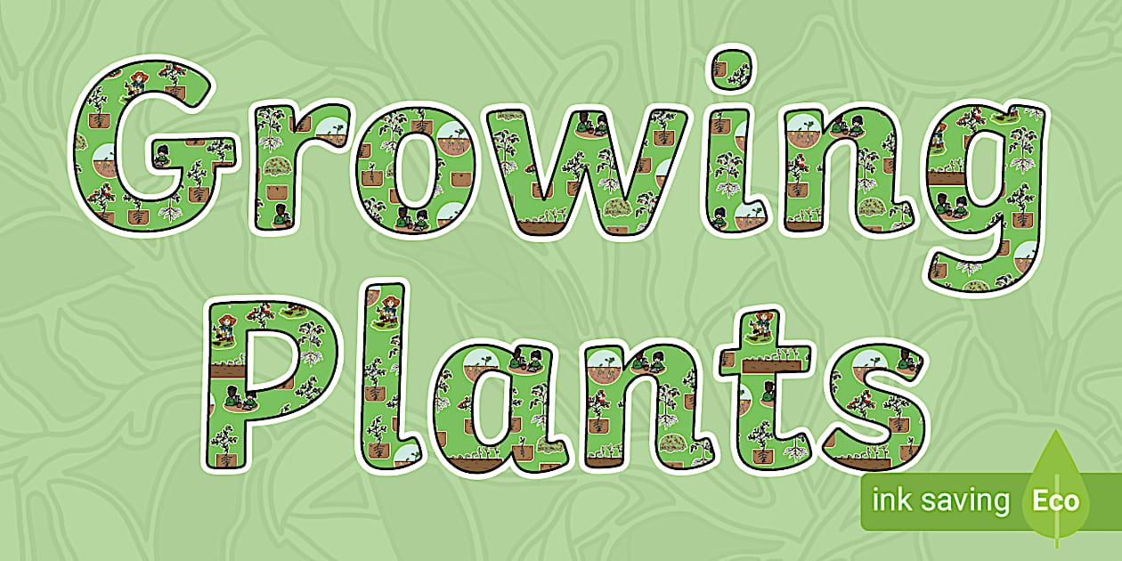 Growing Plants Display Lettering - KS1 - Science - Twinkl