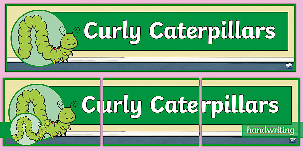 Cursive Curly Caterpillar Family Display Banner - Twinkl