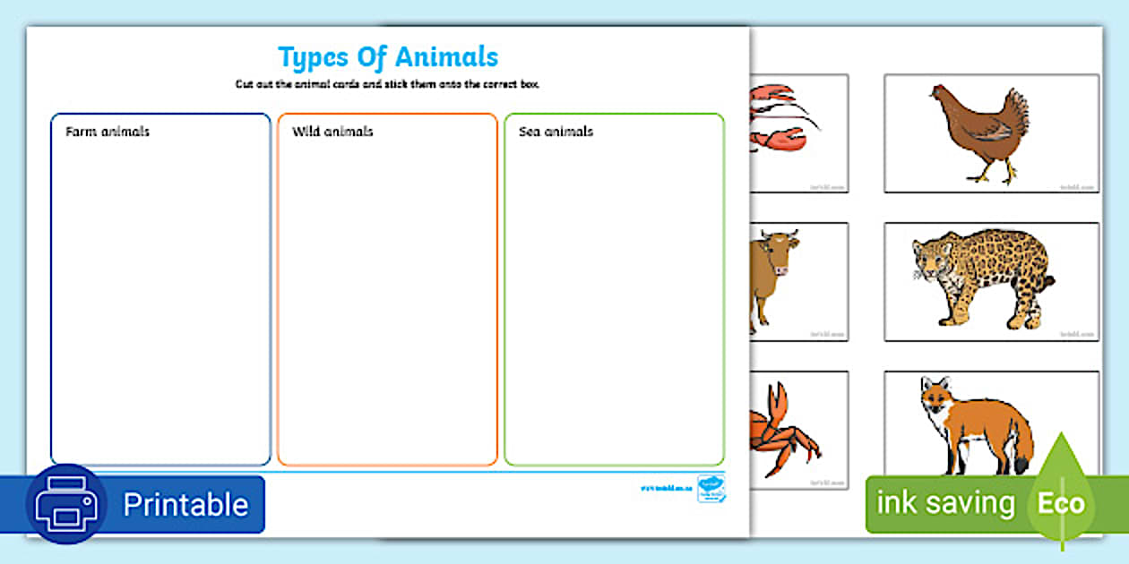 Grade R - Wild Animals - Worksheet: Animal Sorting - Twinkl