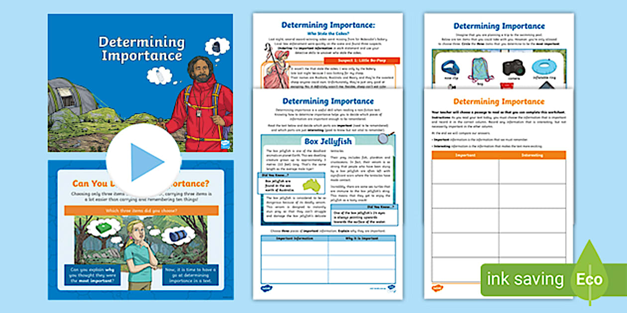 Determining Importance Resource Pack (teacher made) - Twinkl