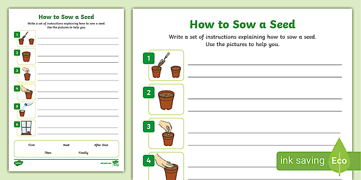 How to Sow a Seed Writing Frame (teacher made) - Twinkl