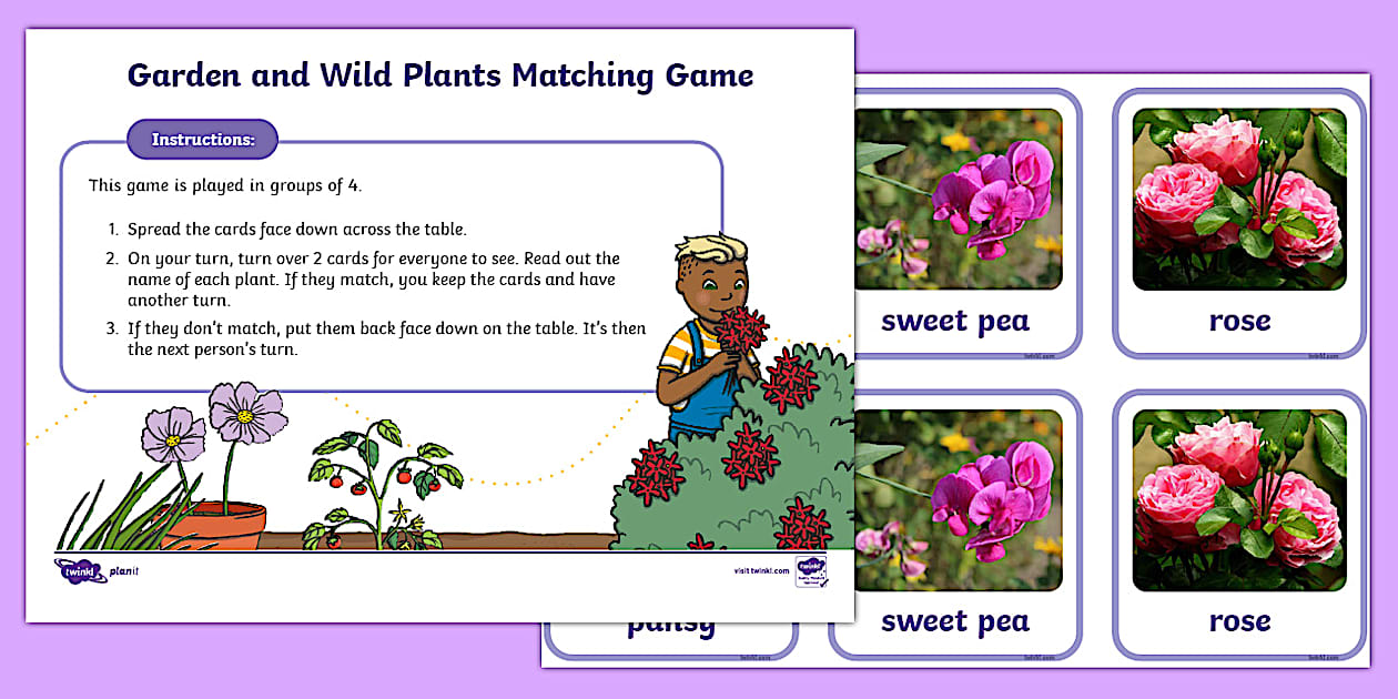 Year 1 Garden and Wild Plants Matching Game (teacher made)