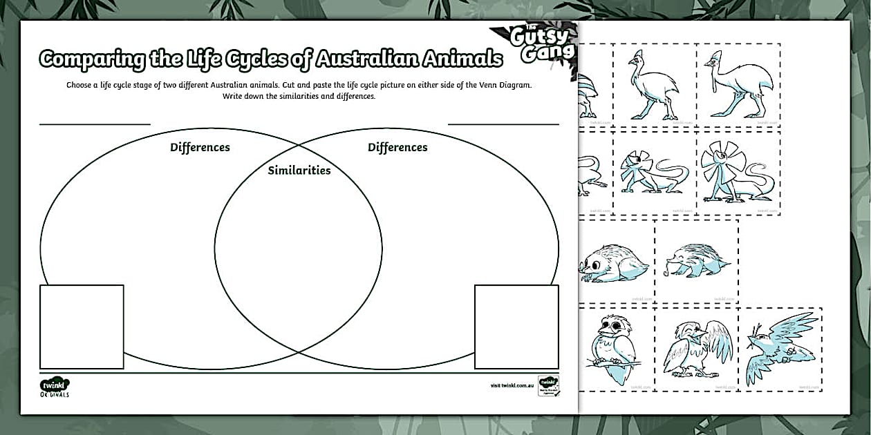 The Gutsy Gang Book Comparing Australian Animal Life Cycles