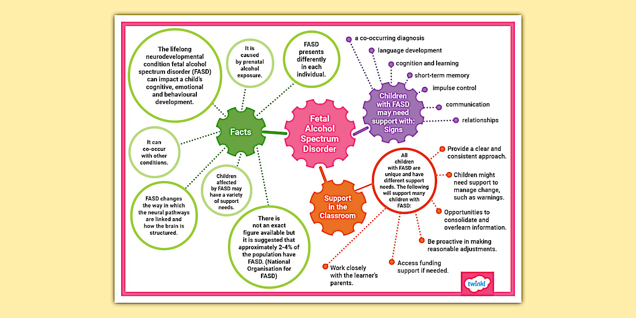 Fetal Alcohol Syndrome Mind Map for Educators (teacher made)