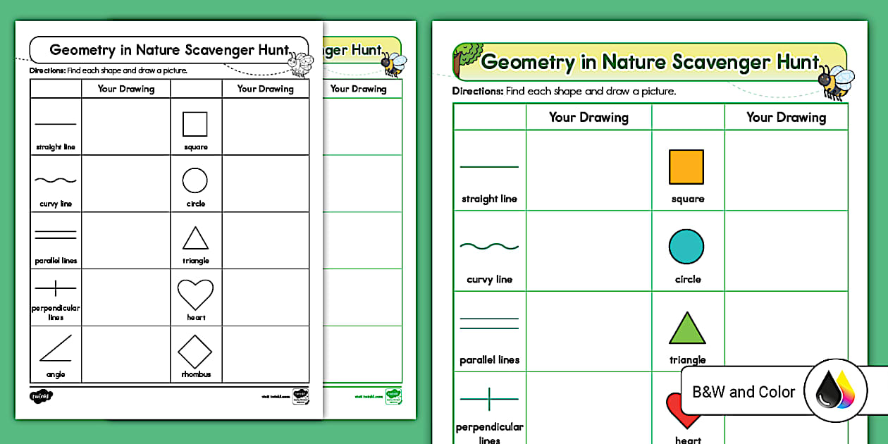 Geometry Scavenger Hunt | Resource | Twinkl USA - Twinkl