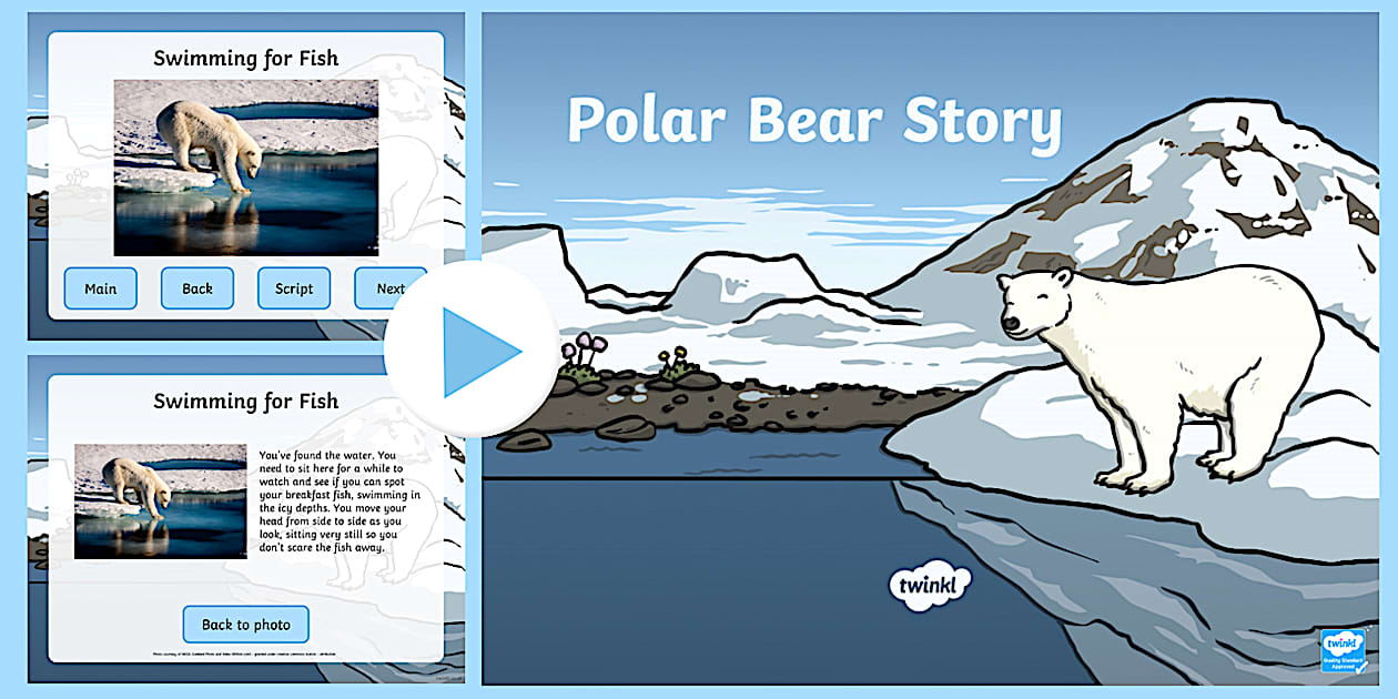 Polar Bear Drama Story and Photos PowerPoint - Twinkl