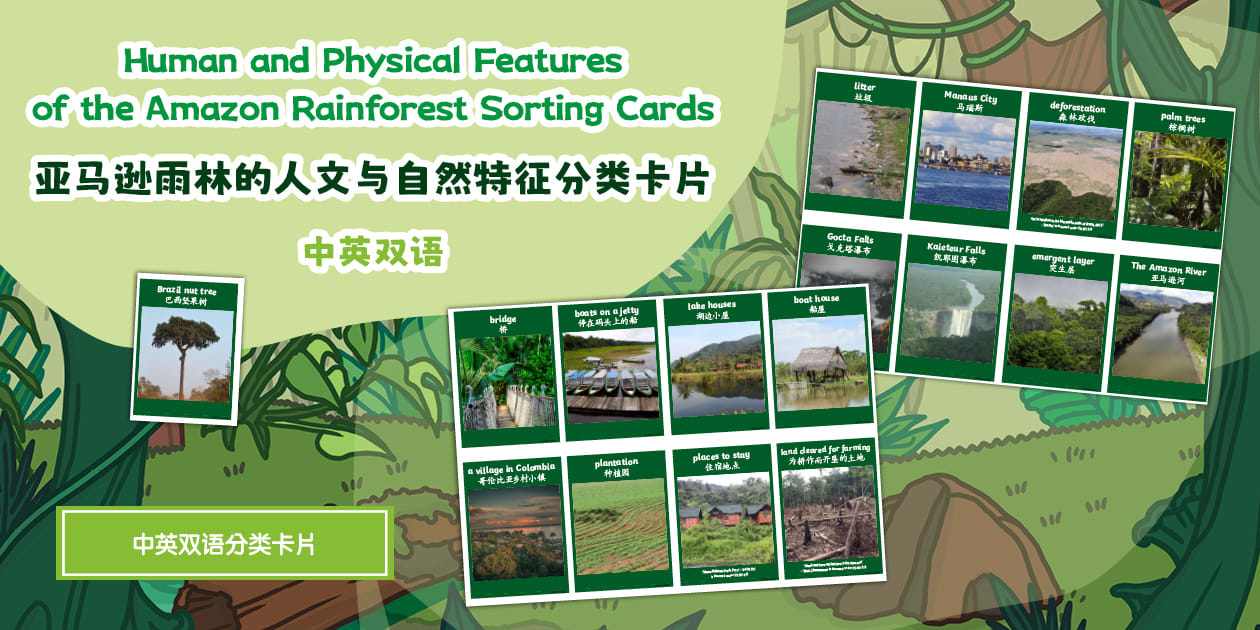 * NEW * 亚马逊雨林的人文与自然特征分类卡片 中英双语