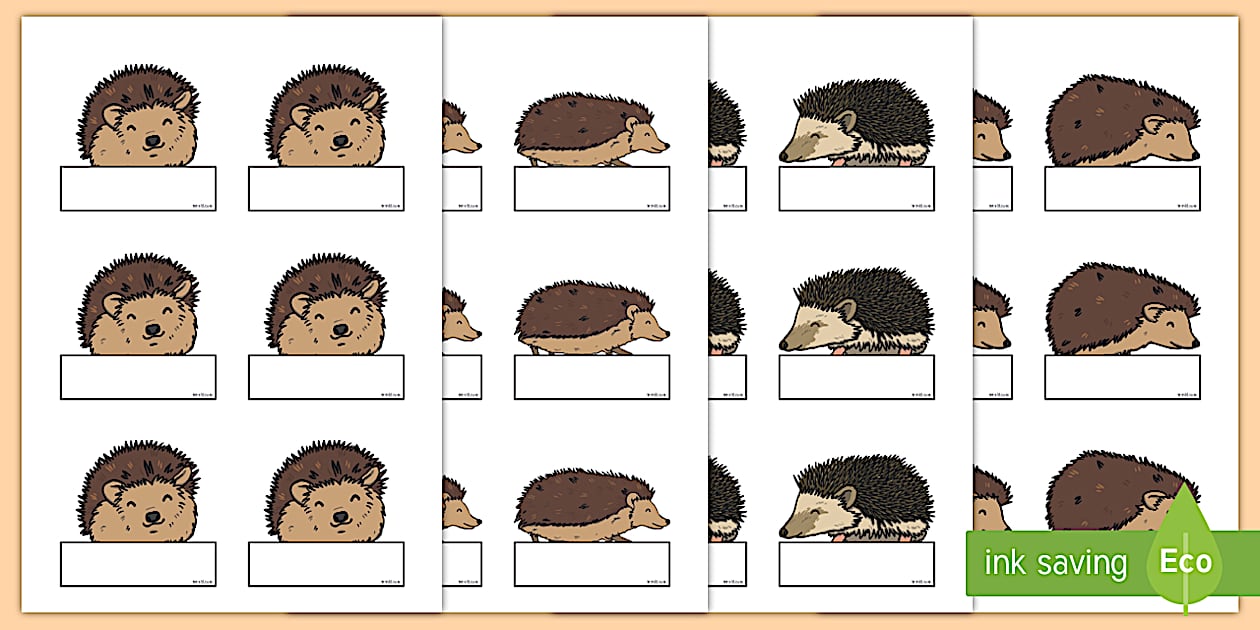 Editable Hedgehog Self-Registration Labels (teacher made)