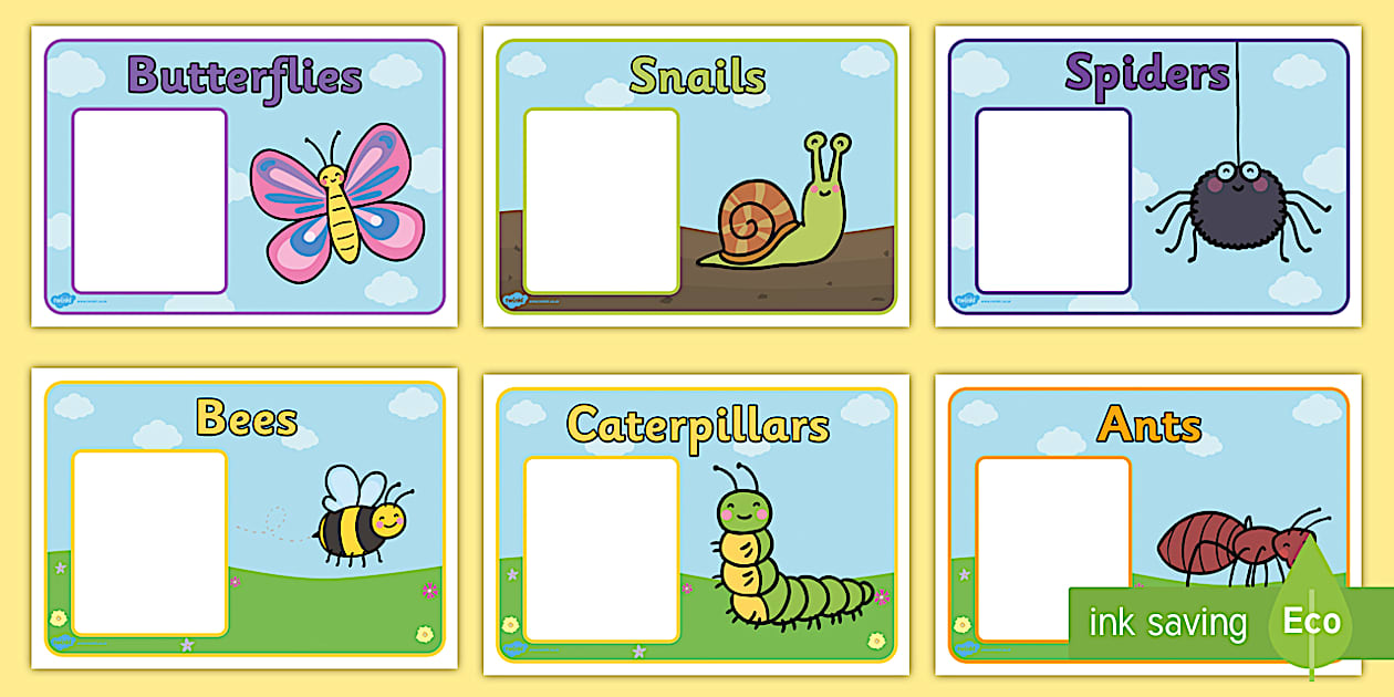 👉 Editable Class Group Names (Minibeasts) - Twinkl