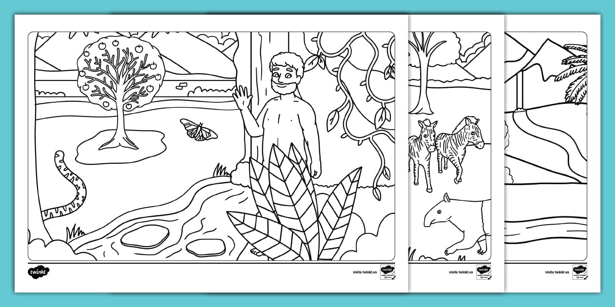 Hojas de colorear: Adán (Teacher-Made) - Twinkl