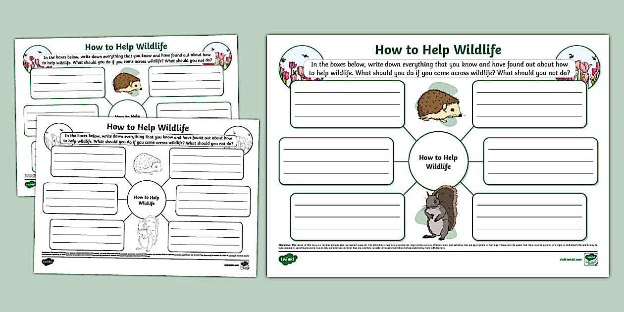 How to Help Wildlife Mind Map (teacher made) - Twinkl
