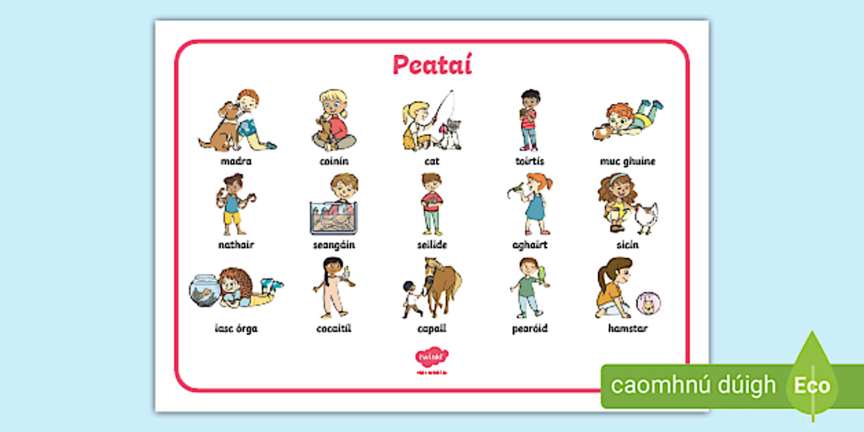 We Are All Different Pets Word Mat Gaeilge (teacher made)