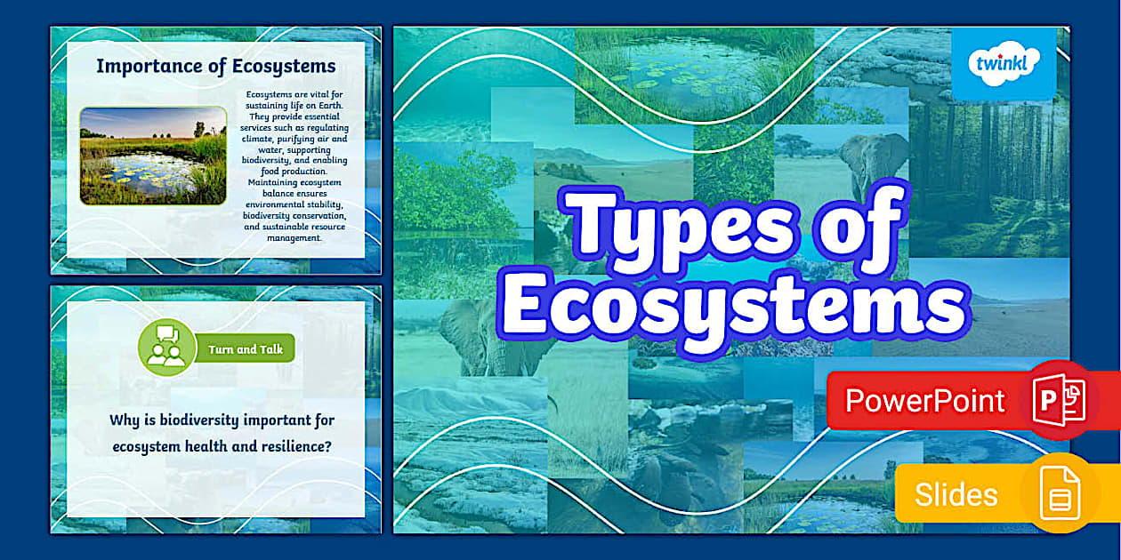 Types of Ecosystems PowerPoint & Google Slides for 3rd-5th