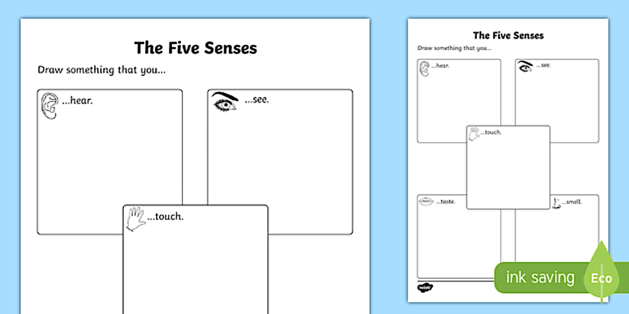 Editable Drawing The Five Senses Worksheet (teacher made)