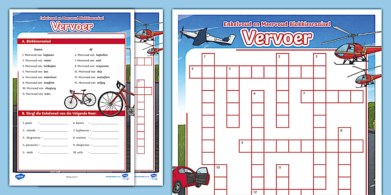Enkelvoud en Meervoud Blokkiesraaisel (Teacher-Made)